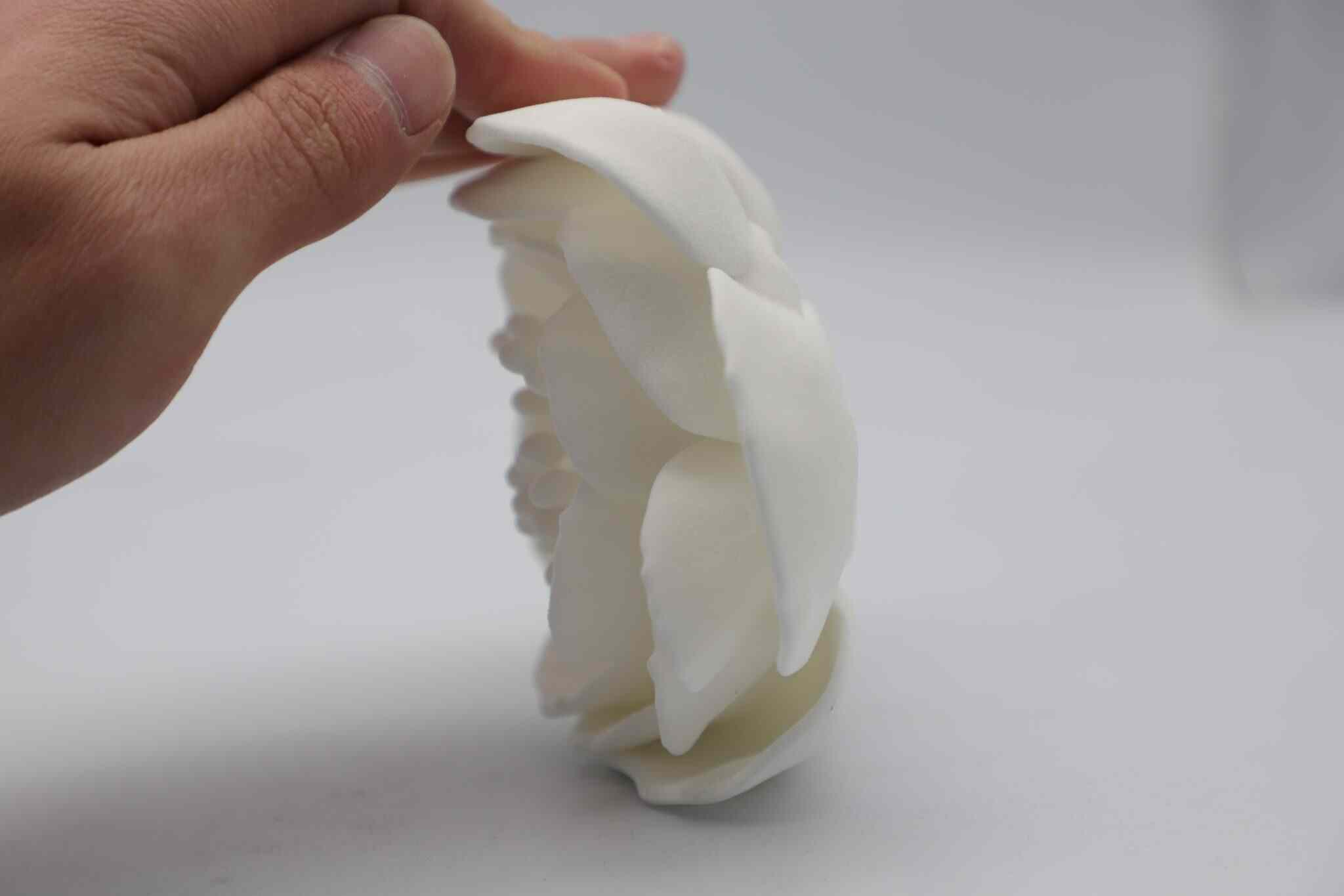 TPU Selective Laser Sintering
