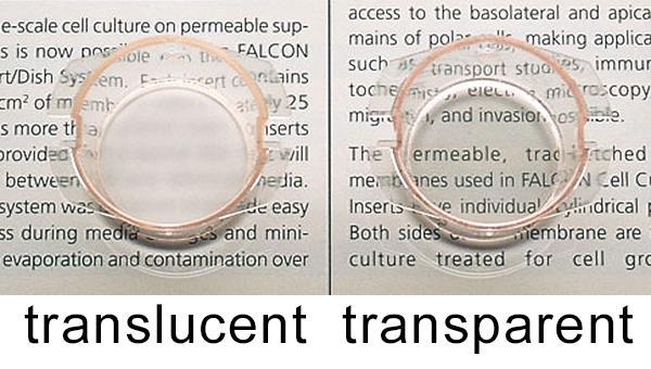Clear vs. Translucent vs. Transparent: How to Distinguish Clear vs. Translucent vs. Transparent: How to Distinguish